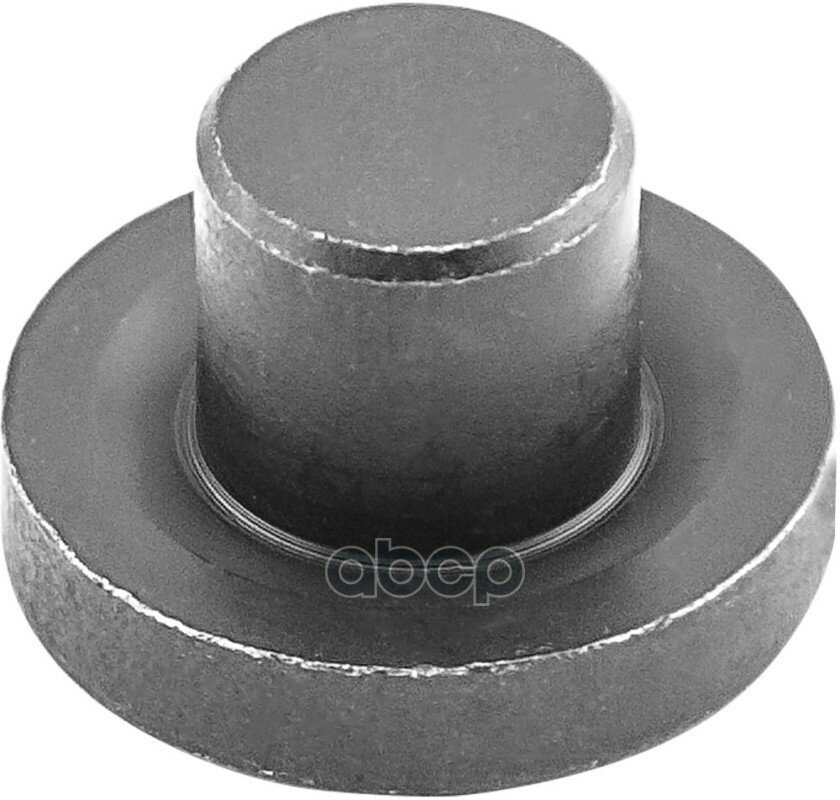 Пуансон 12 мм для набора DFTS10 THORVIK арт. DFTS10-6