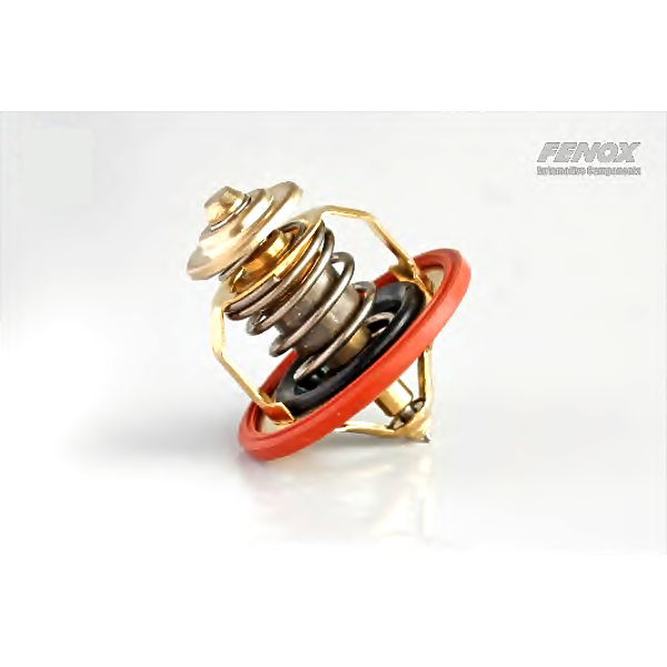 FENOX ts016 (255 / 2550023001 / 2550023010) термоэл. с прокл. 89с