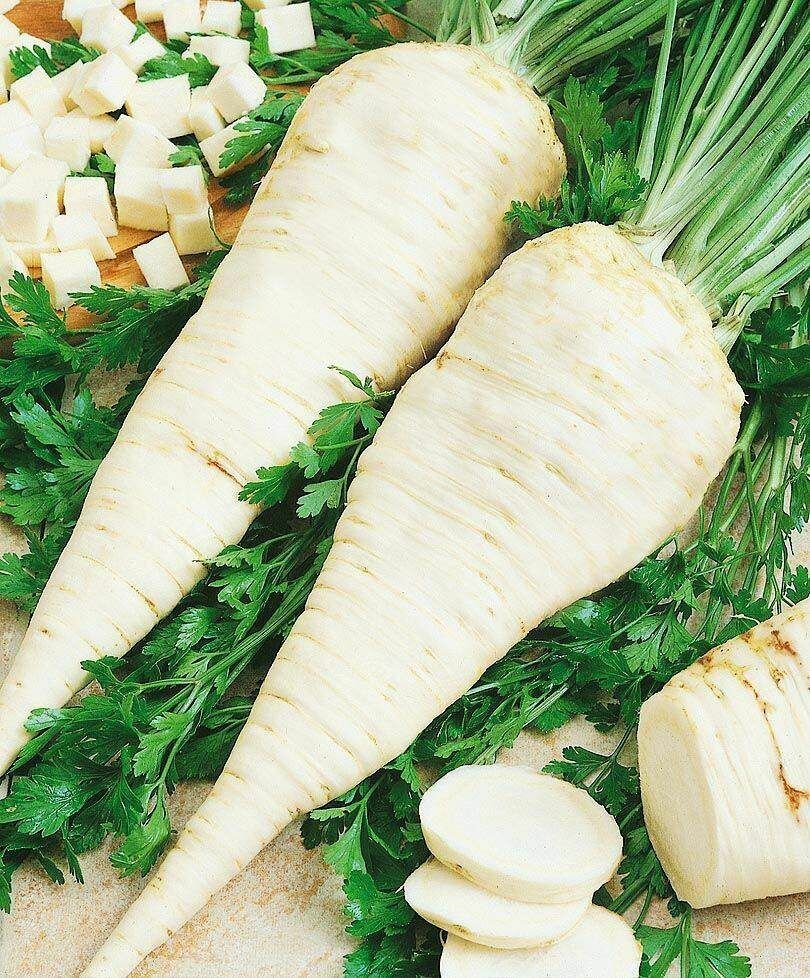 Коллекционные семена петрушки корневая Финал