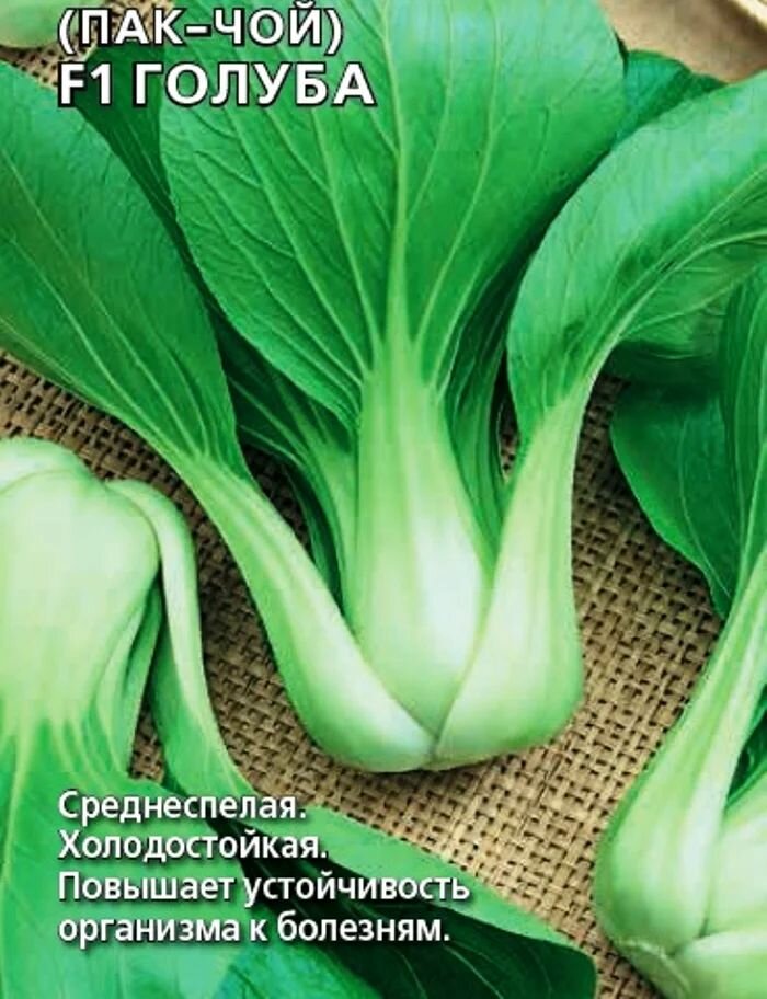 Коллекционные семена капусты пак-чой F1 Голуба