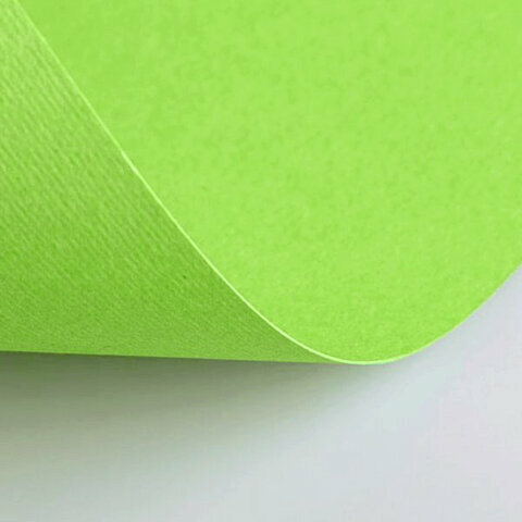 20 шт. Бумага (картон) для творчества (1 лист) Fabriano Elle Erre А2+ 500х700 мм, 220 г/м2, светло-зеленый, 42450710