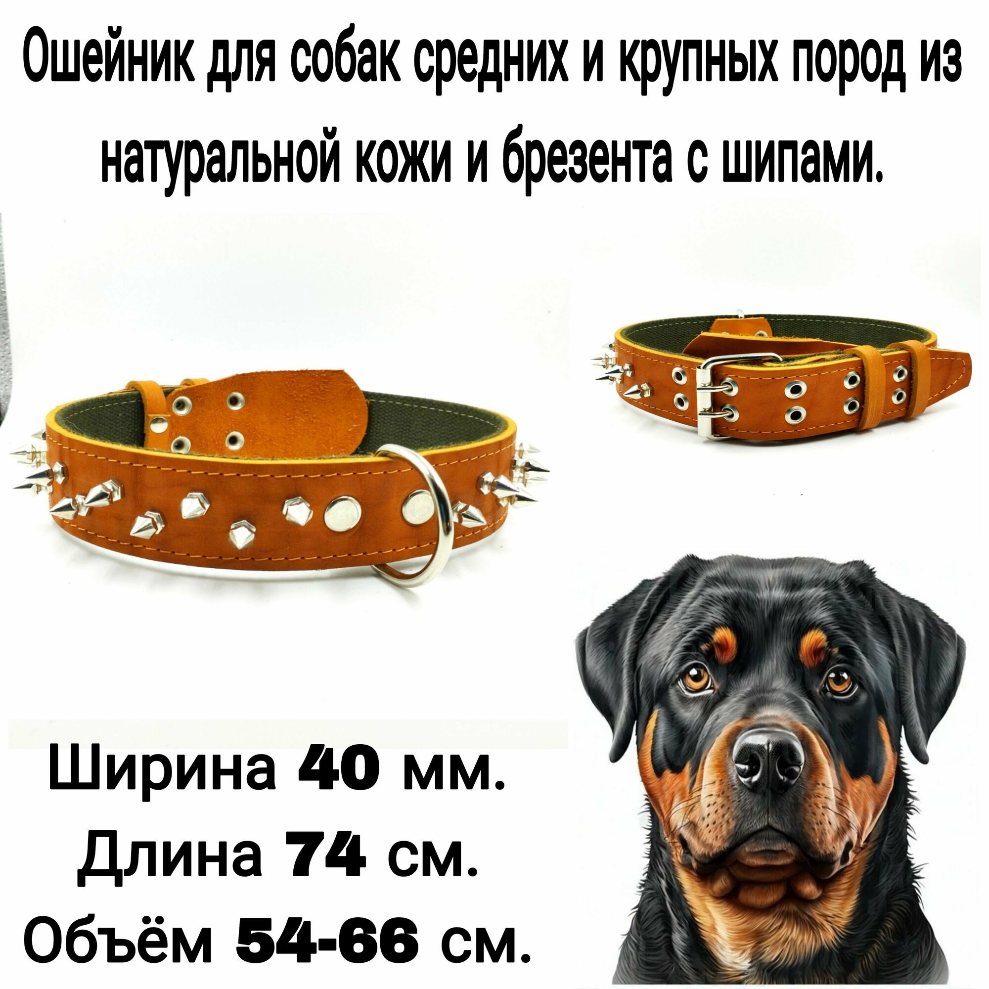 Ошейник для крупных и средних пород собак из натуральной кожи и брезента с шипами, ширина 40 мм, длина 74 см, объём шеи 54-66 см.