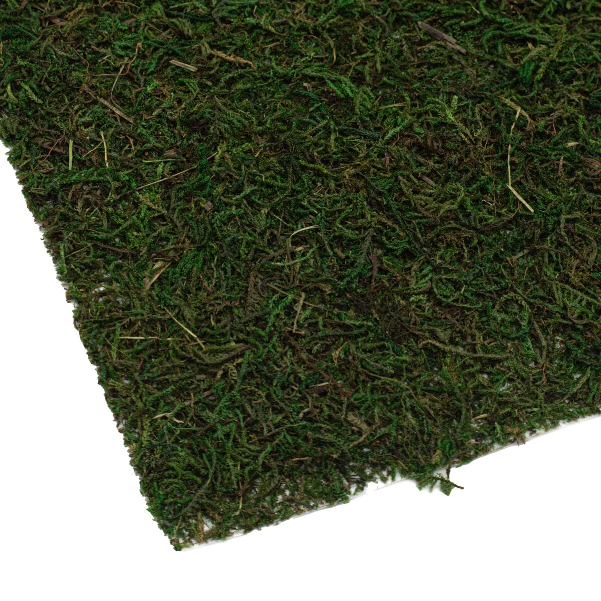 Мох натуральный обработанный листовой самоклеящийся Айрис, BH201ALB-35, 35*24 см