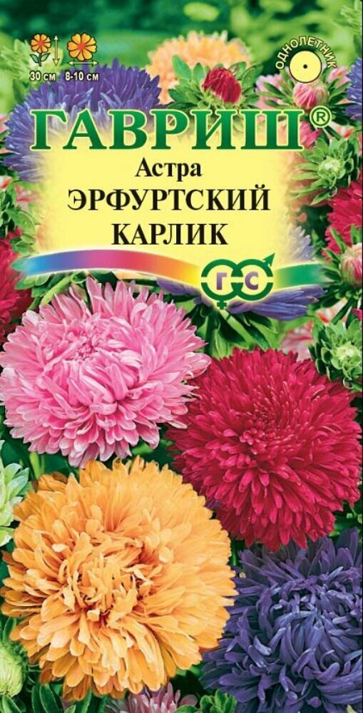 Цена за 10 пачек! Семена Астра Эрфуртский карлик 0,3г Одн смесь 30см (Гавриш)