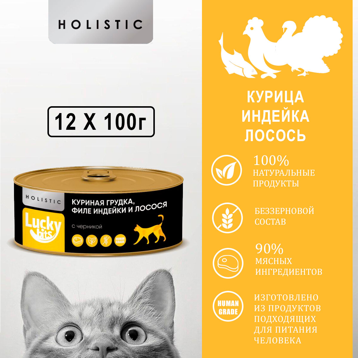 Консервы для кошек Lucky bits куриная грудка, филе индейки и лосося с черникой, 12 шт по 100 гр. Беззерновые консервы класса Holistic (Лаки битс)