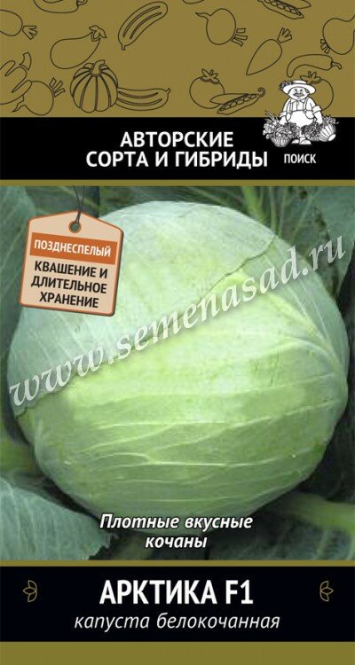 Капуста белокочанная Арктика F1 0,2гр. (авт. серия) (Поиск)