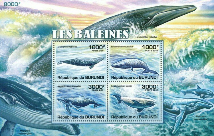Почтовые марки Бурунди 2011г. "Морская жизнь - Киты" Киты MNH