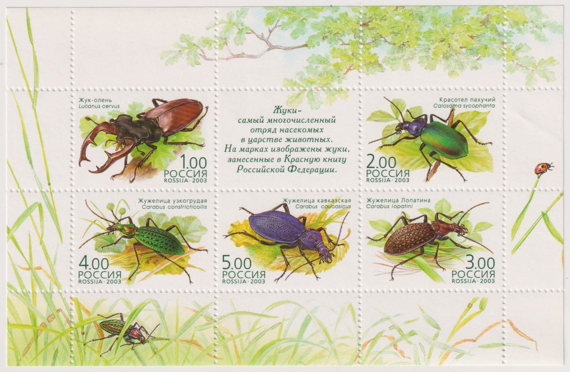 Почтовые марки Россия 2003г. "Жуки" Насекомые MNH