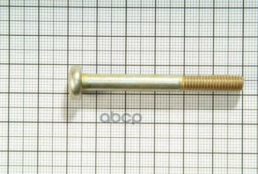 Винт крючка двери для а/м ВАЗ 2110, крепл. адсорбера М6х55 БелЗАН арт. 00001-0032773-118