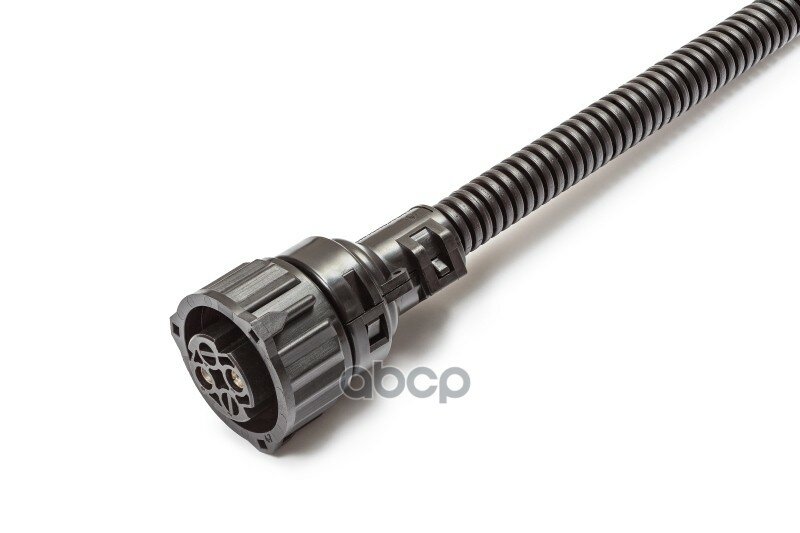 Электроразъем фонаря заднего байонет AMP (розетка, 2 контакта) прямой CARGEN арт. AX5201 - высокое качество