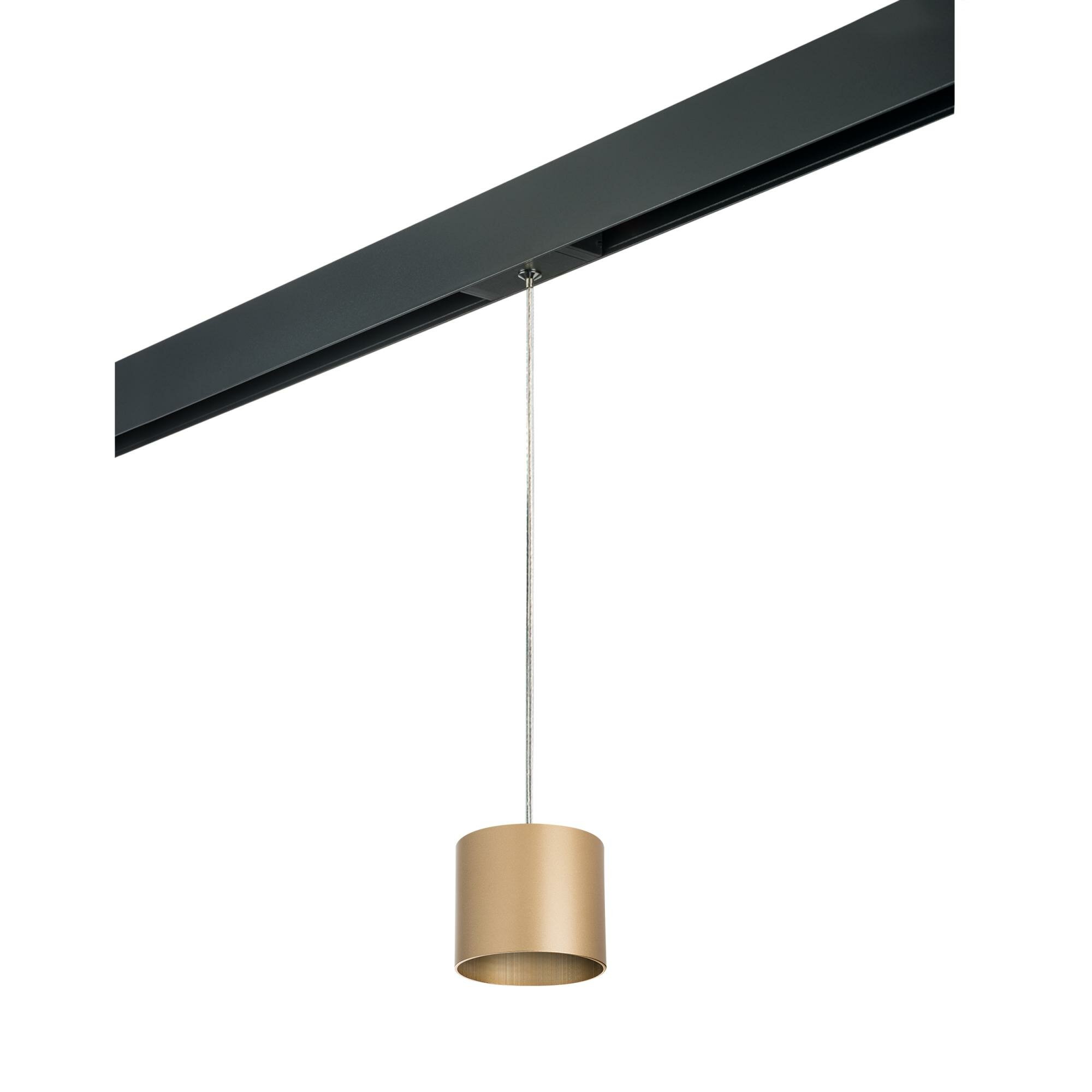 Трековый светильник Lightstar Rullo PRORP3490 (213490+595887)