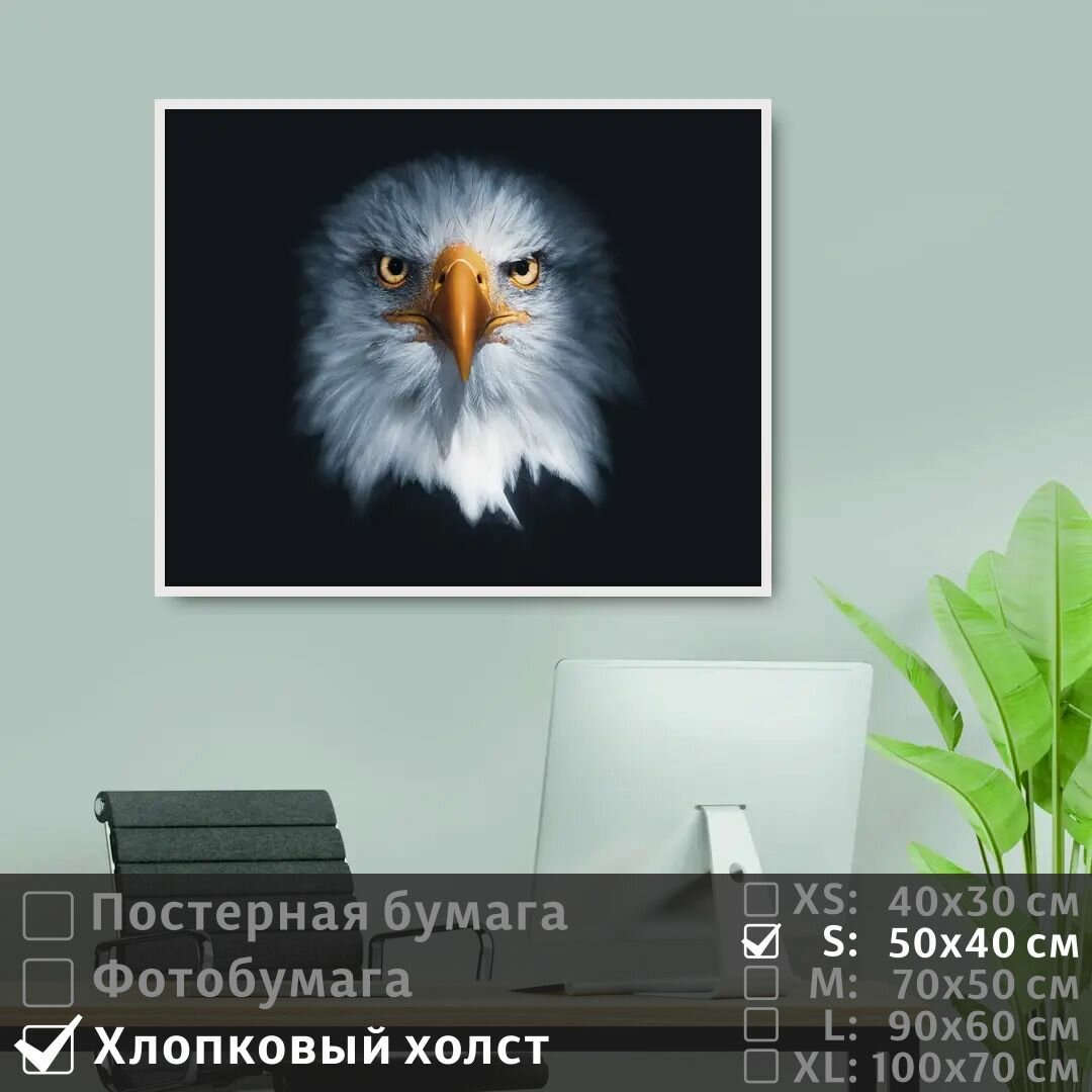 Постер на холсте хищный орел С Оранжевым Клювом 50х40 см ПолиЦентр