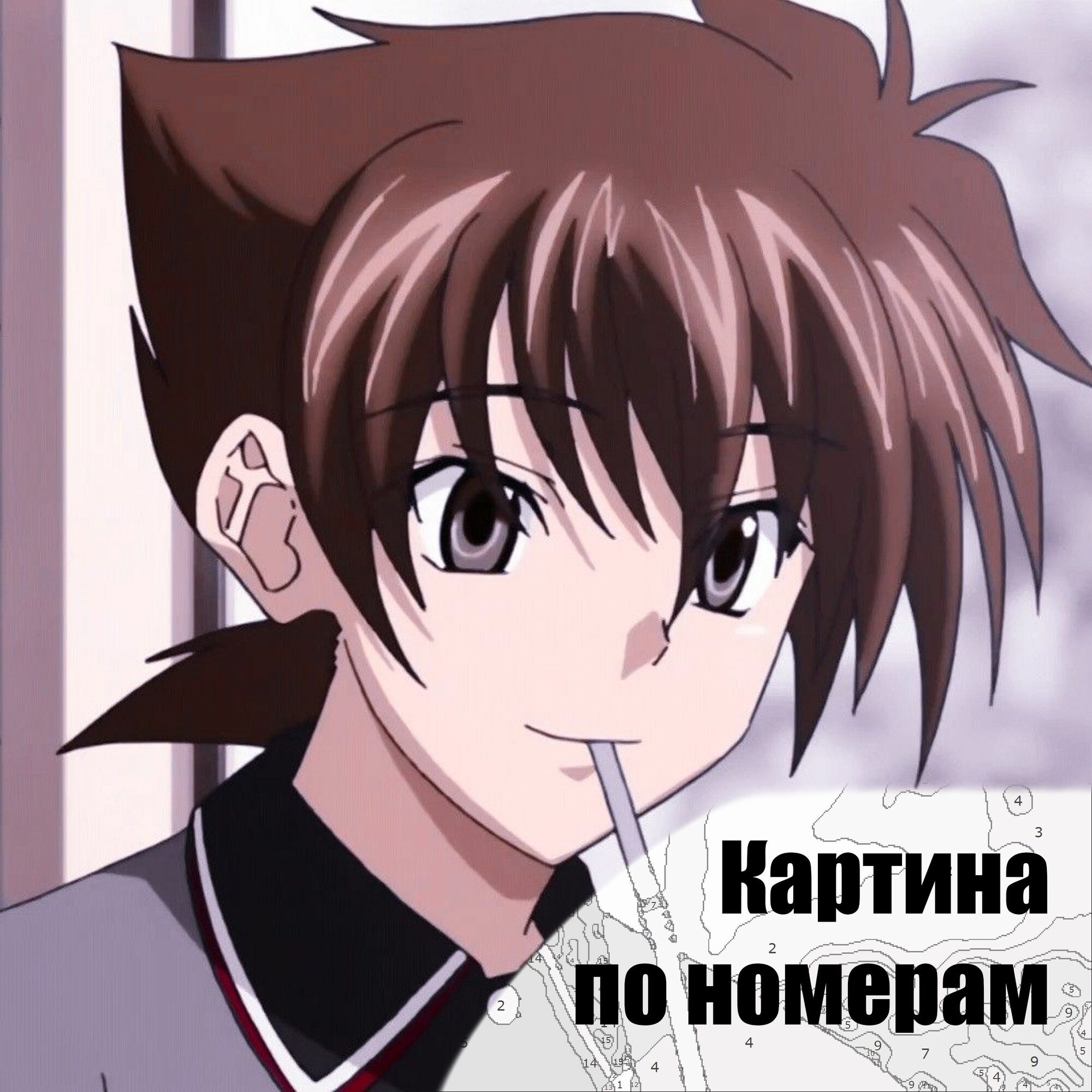 Картина по номерам на дереве 23х23 см - Старшая школа DxD - Иссэй Хёдо
