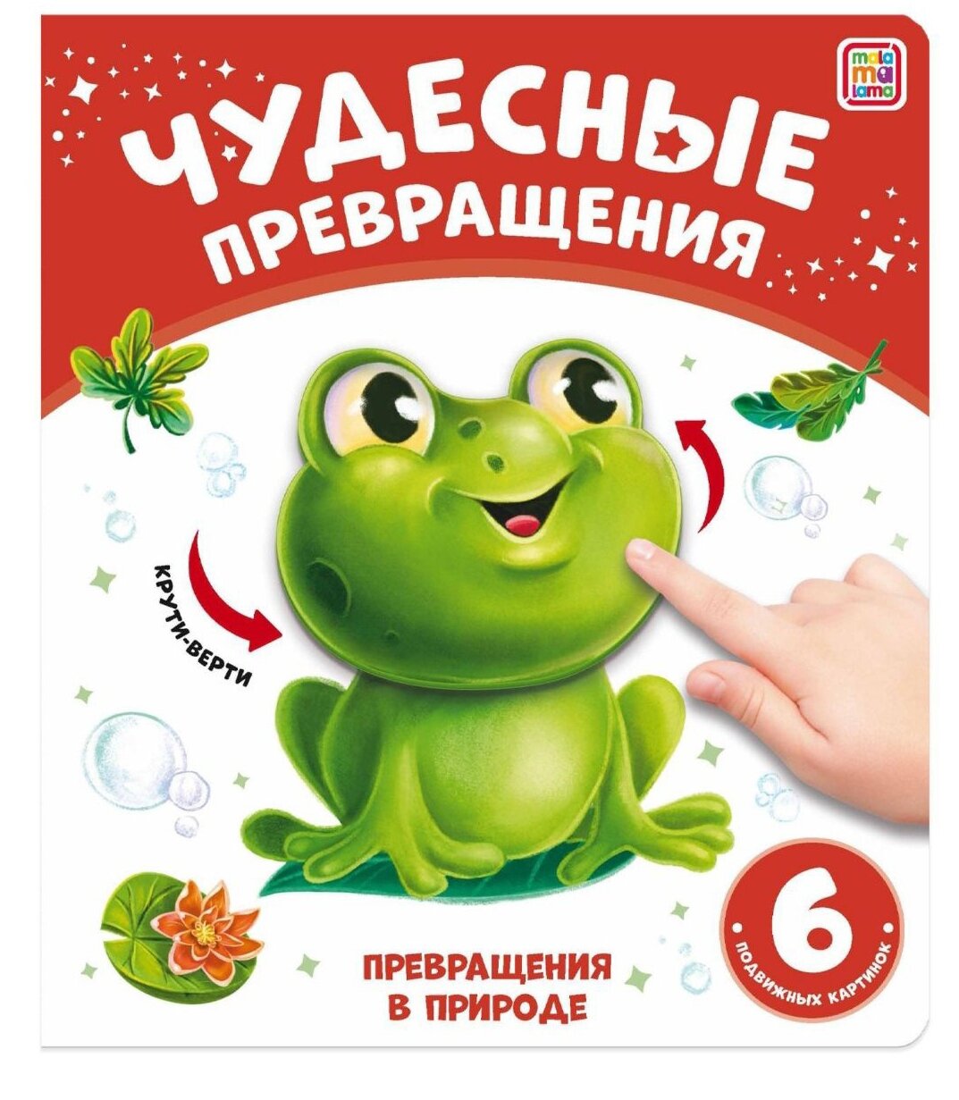 Чудесные превращения. Превращения в природе. 6 подвижных картинок