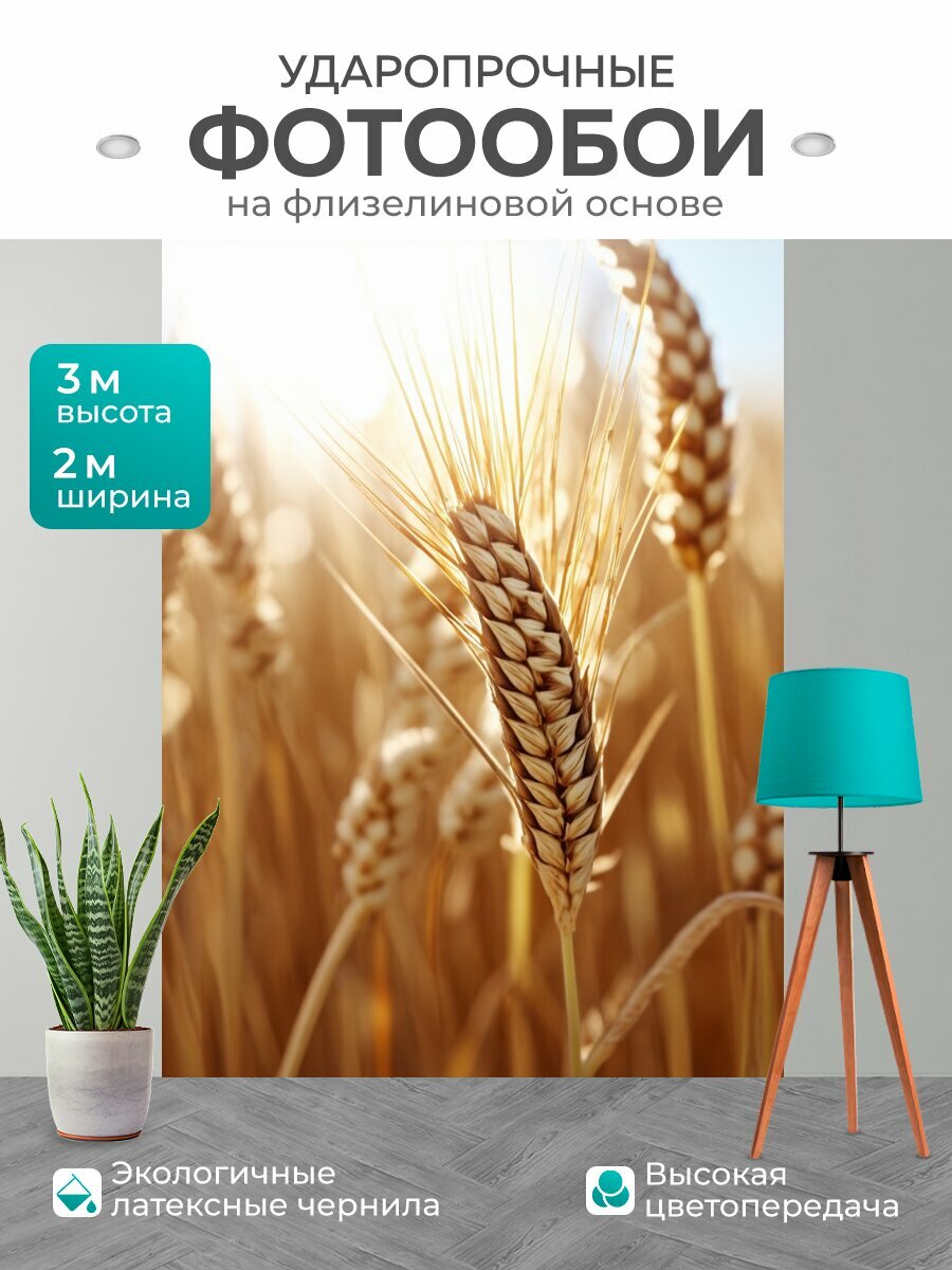 Фотообои моющиеся ударопрочные "Колос, рвущийся к свету, с яркими солнечными лучами, проникающими сквозь его стебель, создавая эффекты света и тени" 200x300 см. флизелиновые на стену