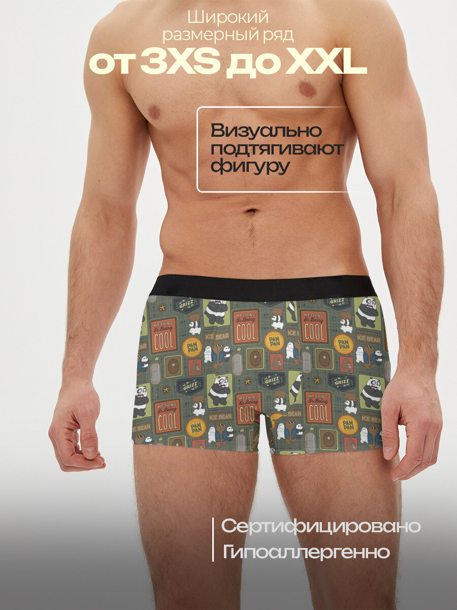 Трусы Вся правда о медведях