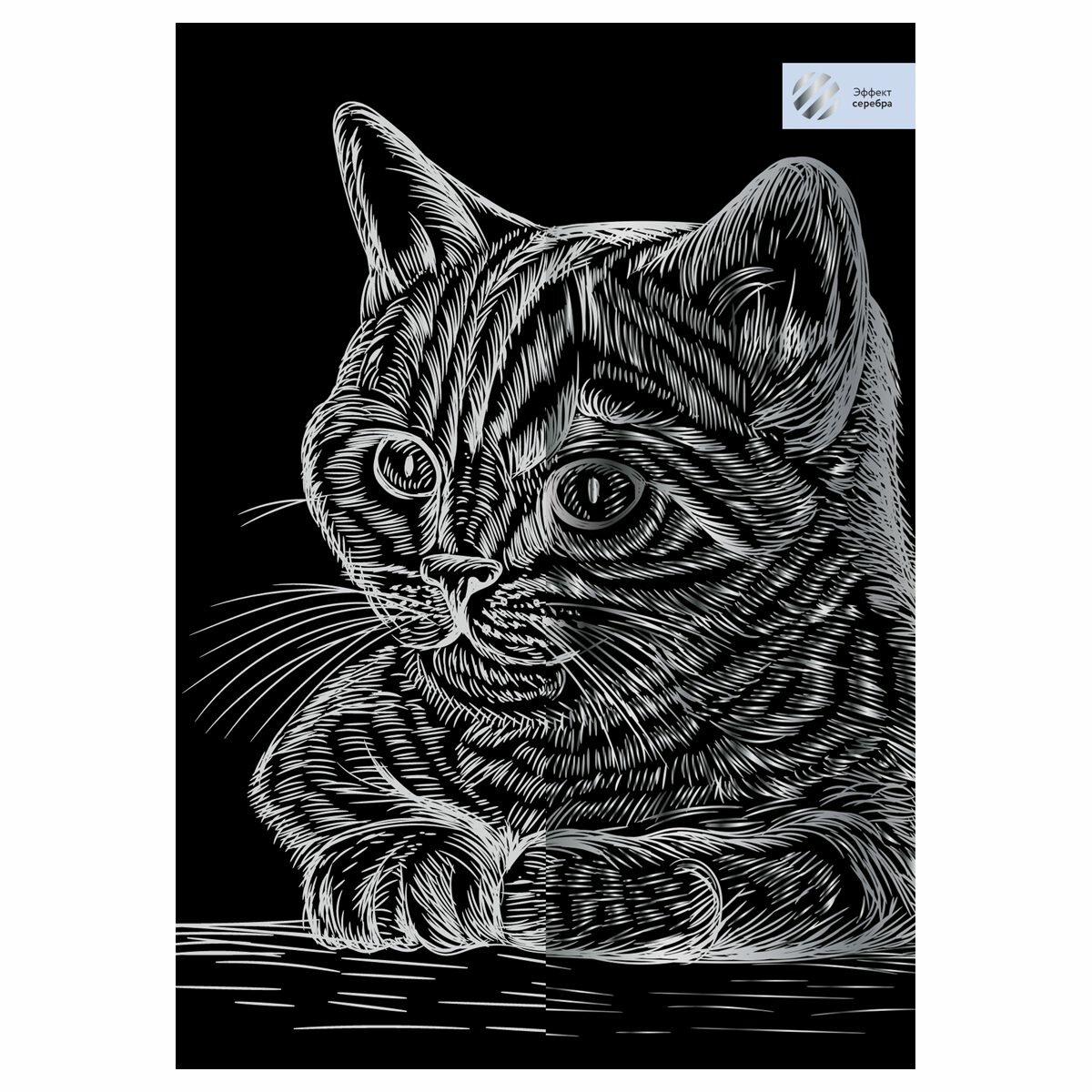 Гравюра с эффектом серебра Три Совы "Полосатый кот", А4 (GA4_48278)