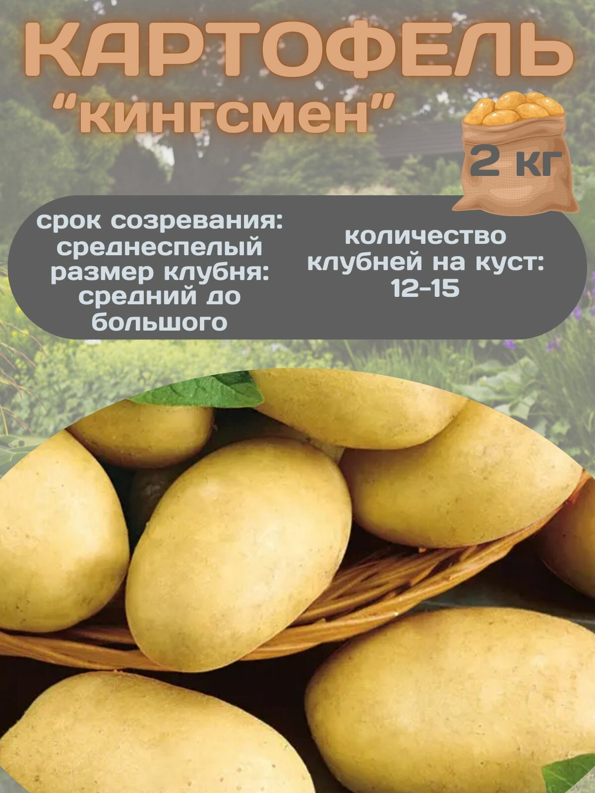 Картофель семенной Кингсмен 2 кг, на посадку