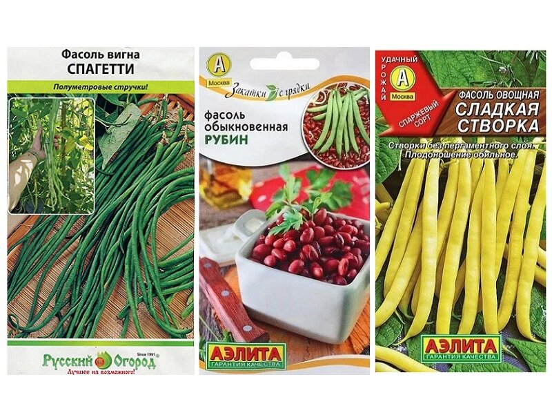 Набор семян Сытная Компания (Фасоль Вигна Спагетти, Рубин, Сладкая Створка)