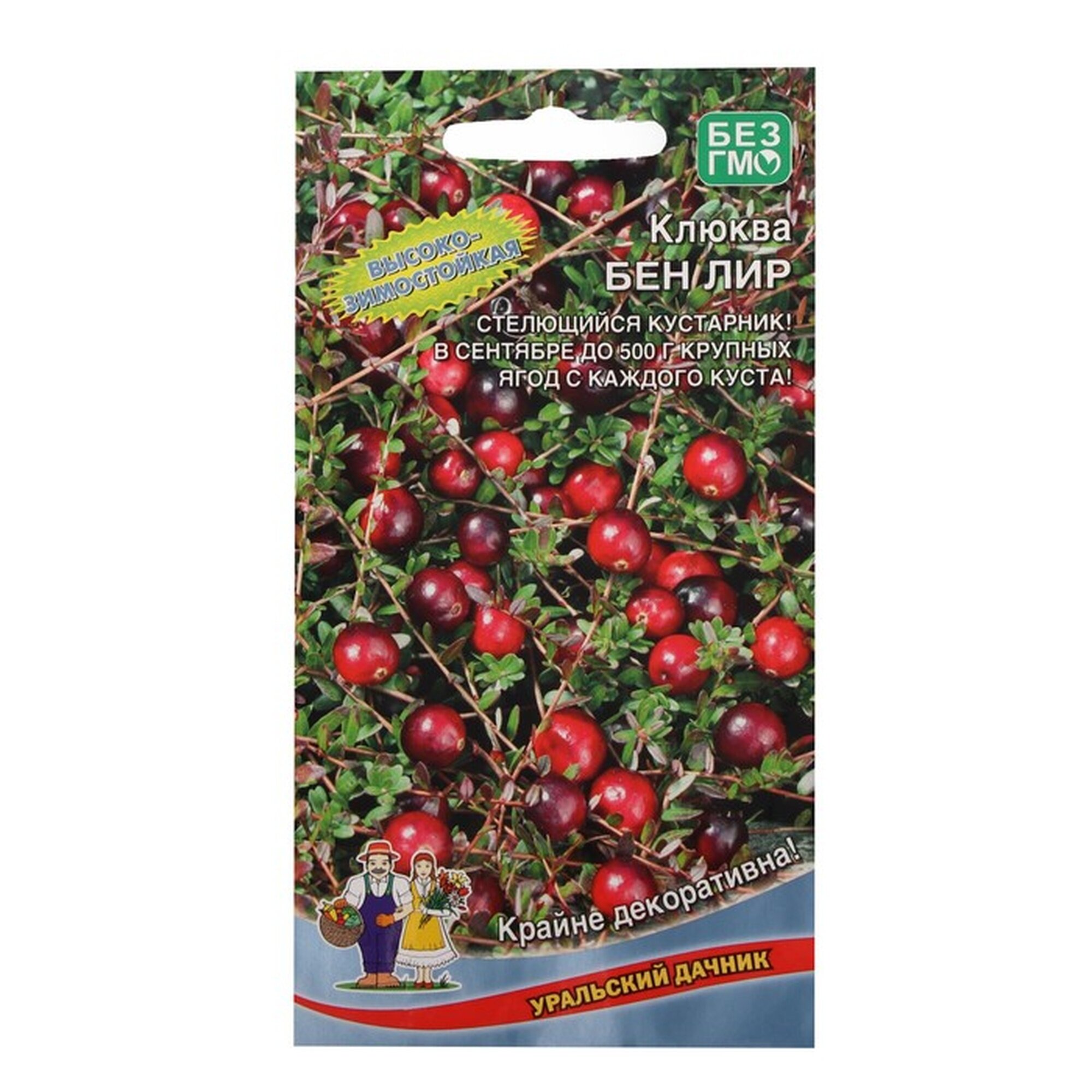 Семена клюквы Уральский дачник "Бен Лир", вечнозеленый кустарник, поздний срок созревания, 0,05г