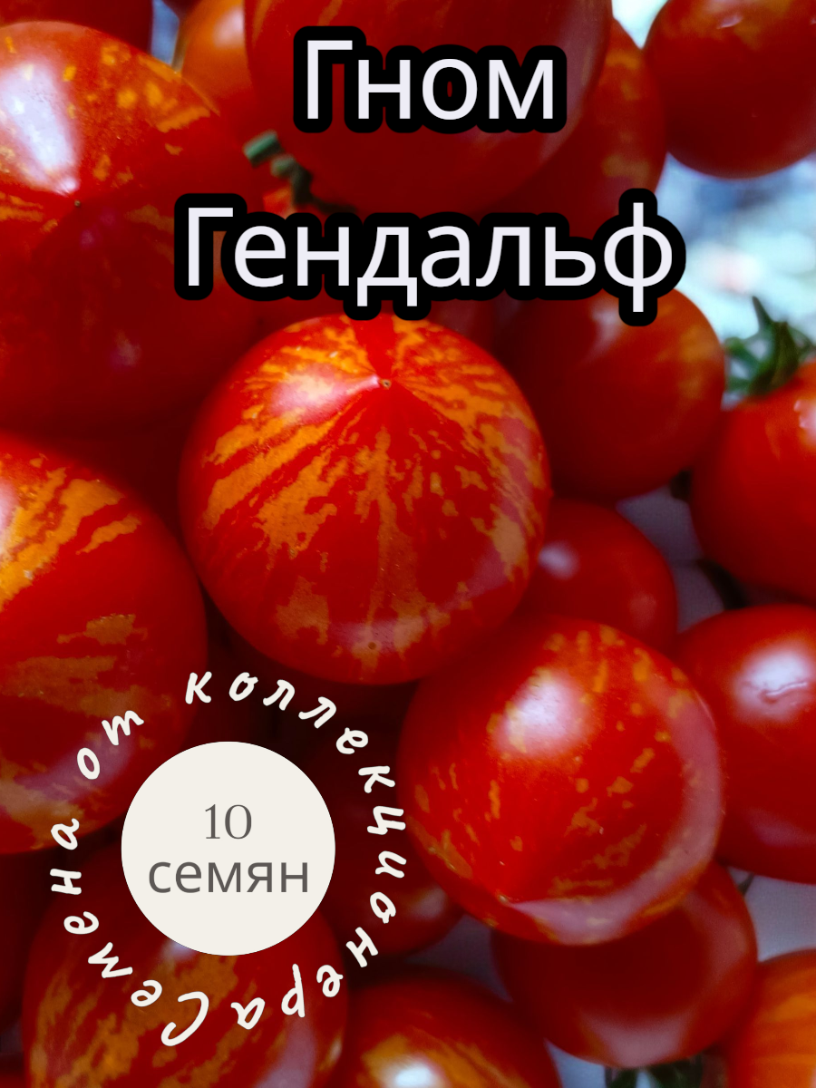 Томат "Гном Гендальф" | Коллекционные семена | Вариегатная листва + Полосатые плоды!