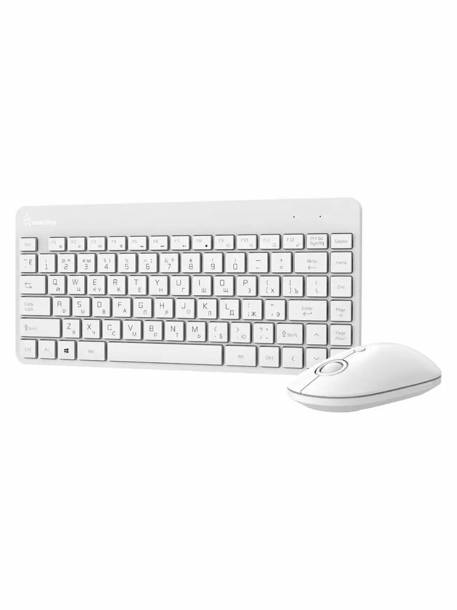 Комплект клавиатура и мышь беспроводной SBC-220349AG-W