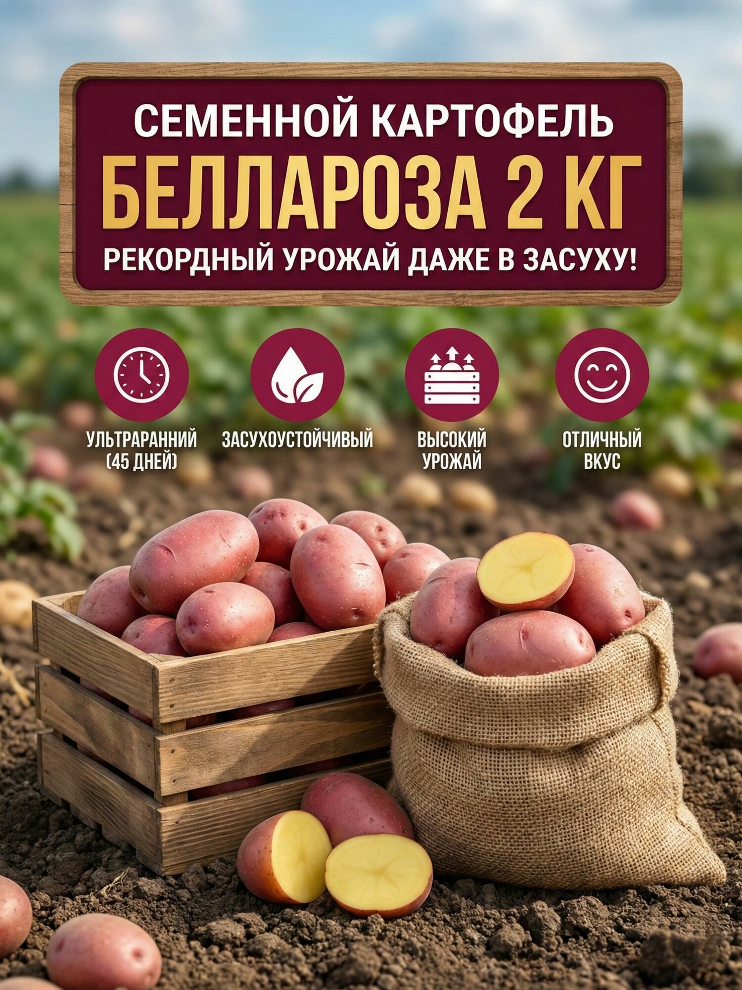 Картофель семенной Беллароза 2 кг клубни на посадку ранний скороспелый сорт для супов, жарки, салатов
