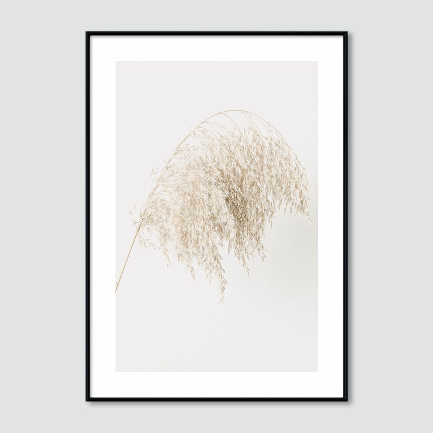 Постер в раме 50х70 Postermarkt, Сухоцвет На Светлом Фоне
