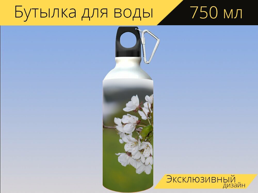 Бутылка фляга для воды "Вишня в цвету, радиотелескоп, эффельсберге" 750 мл. с карабином и принтом