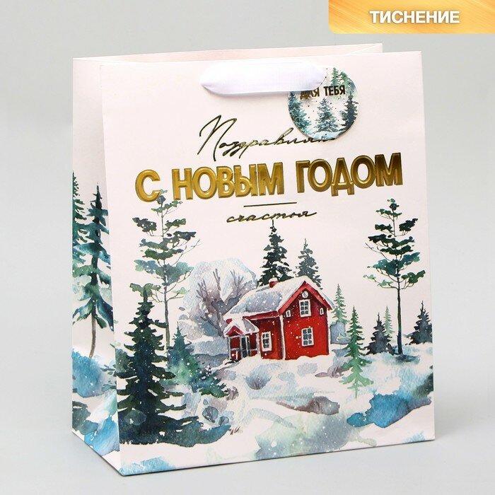 Пакет подарочный новогодний ламинированный, конгревное тиснение С Новым годом, ML 23×27×11.5 см