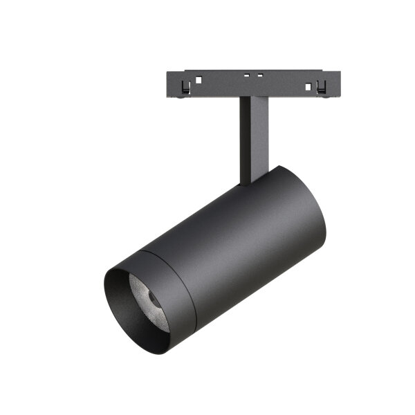 Светильник Arlight Светильник MAG-ORIENT-SPOT-R65-20W Day4000 (BK, 24 deg, 48V) (Arlight, IP20 Металл, 3 года)