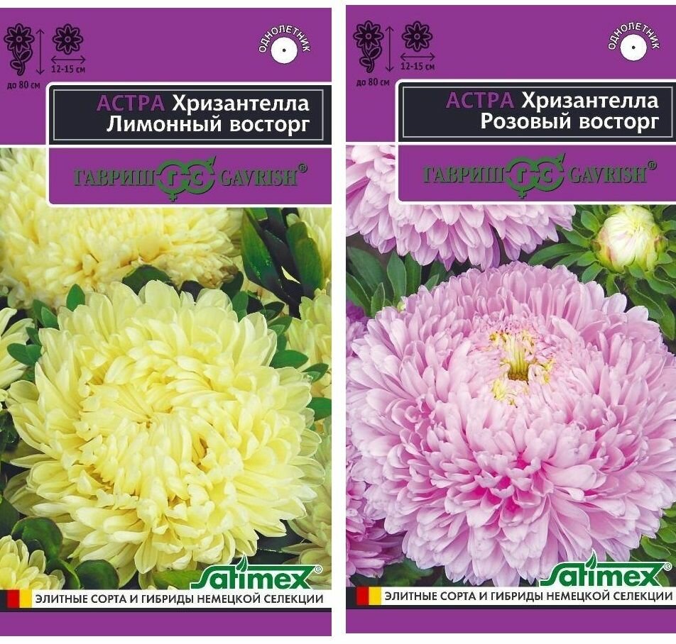 Набор астра китайская махровая хризантелла Розовый, Лимонный восторг (2 упаковки* 0,05 г семян ) Гавриш