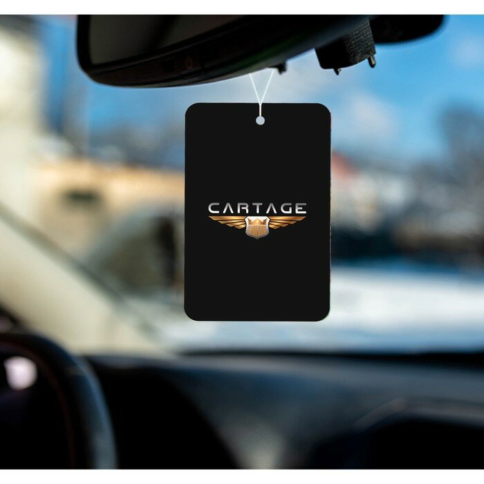Ароматизатор подвесной Cartage, Черный лед, картонный, комплект 3 шт.