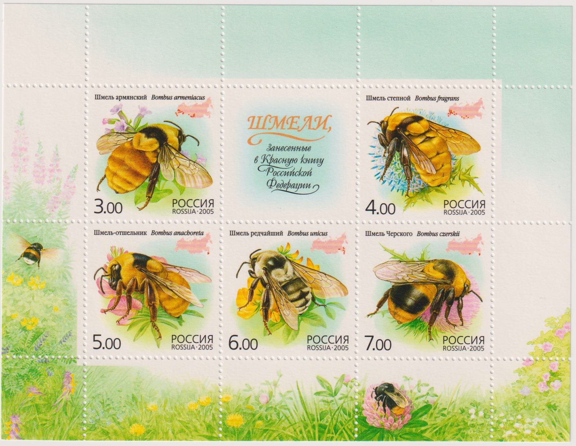 Почтовые марки Россия 2005г. "Пчелы" Пчёлы MNH