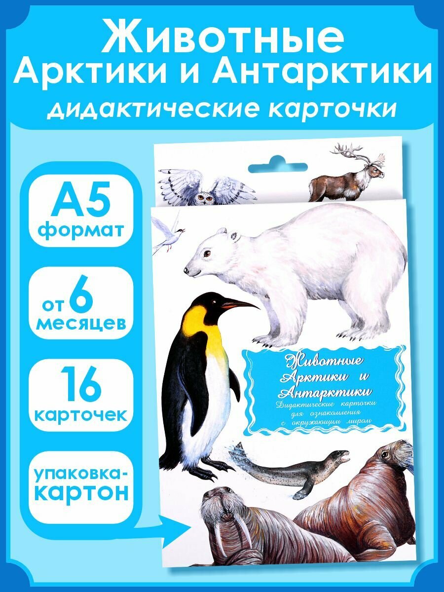 Дидактические карточки Маленький гений Животные Арктики и Антарктики