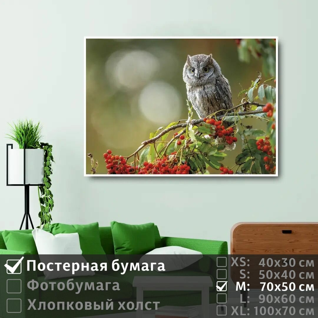 Постер на стену Сова Сидит На Ветке Красной Рябины В Лесу 70х50 см ПолиЦентр