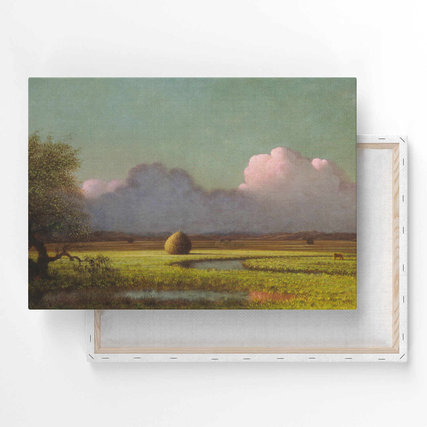 Картина на холсте, репродукция / Мартин Джонсон Хед - Sunlight and Shadow / Размер 40 x 53 см