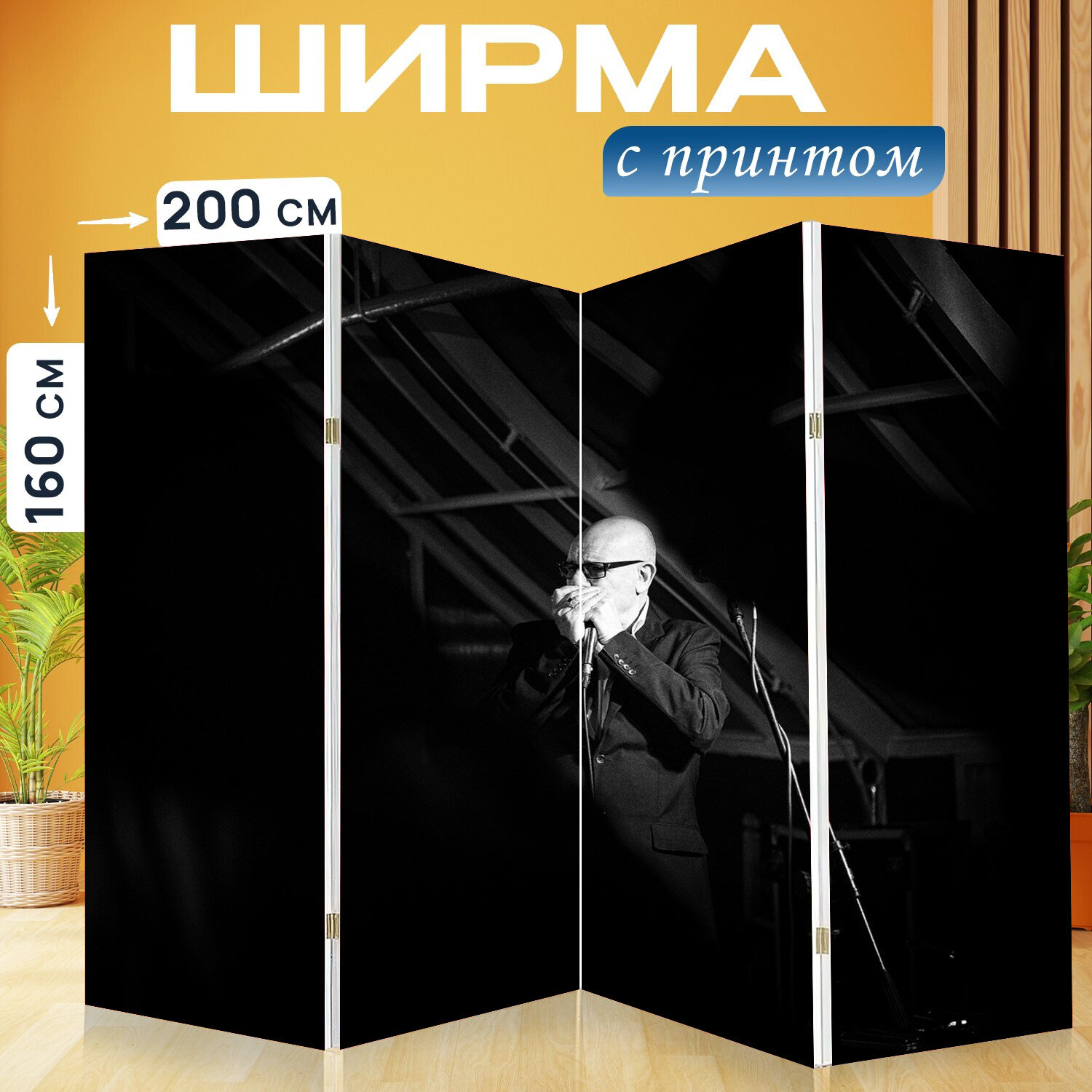 Ширма перегородка с принтом "Группа, музыка, губная гармошка" на холсте - 200x160 см. для зонирования, раскладная