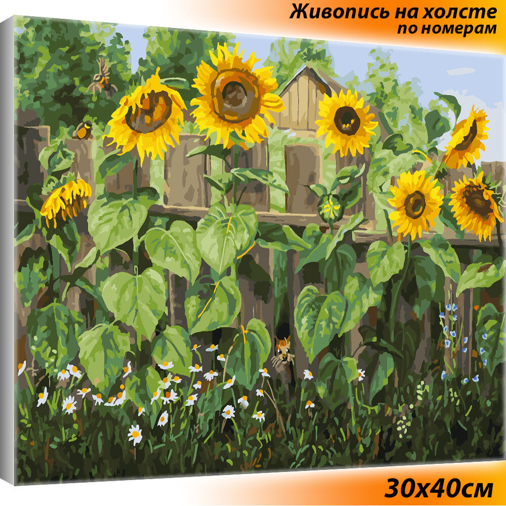Картина по номерам на холсте Белоснежка "Подсолнухи. Настроение августа" / Живопись 30х40 см.