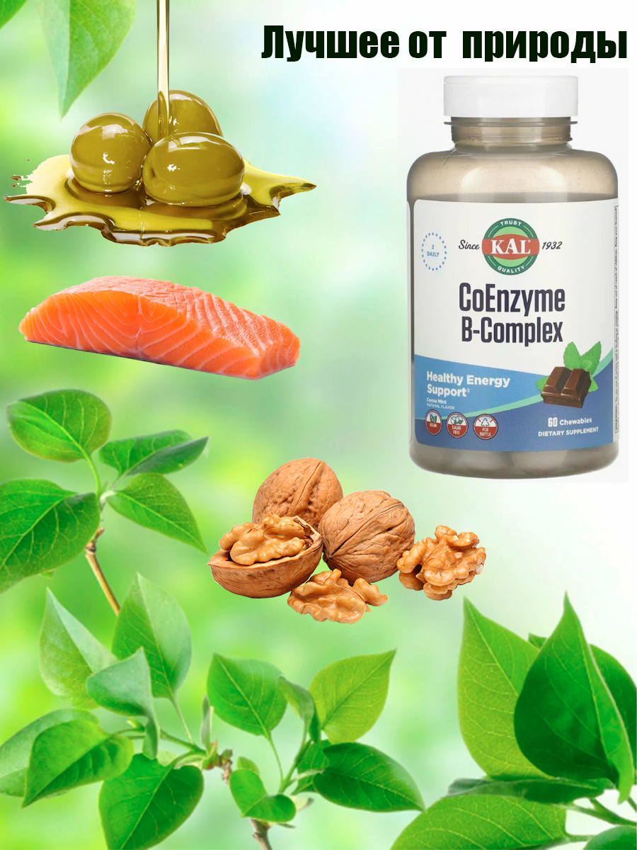 Kal Coenzyme B-Complex 60ct Chocolate Mint — фото 1