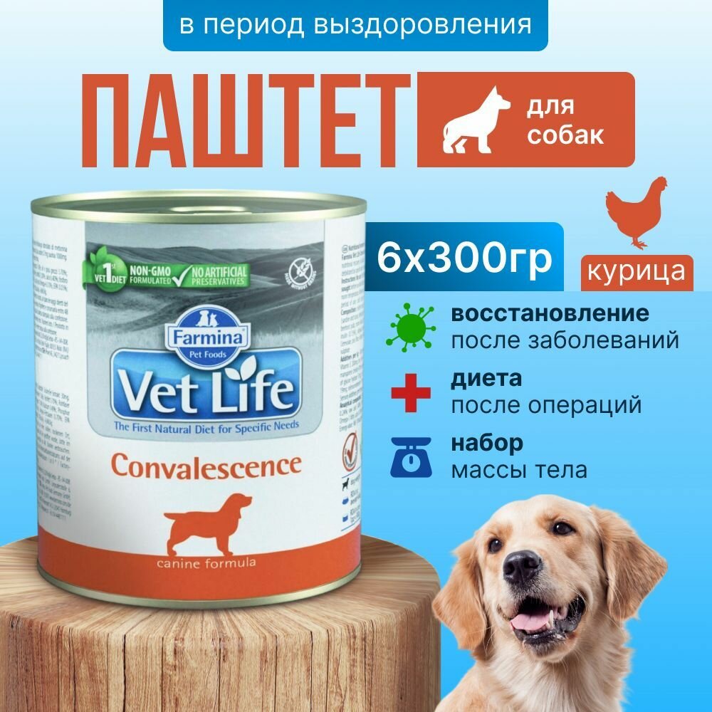 Влажный корм для собак FARMINA VET LIFE Convalescence в период восстановления, 300 гр. * 6 шт.