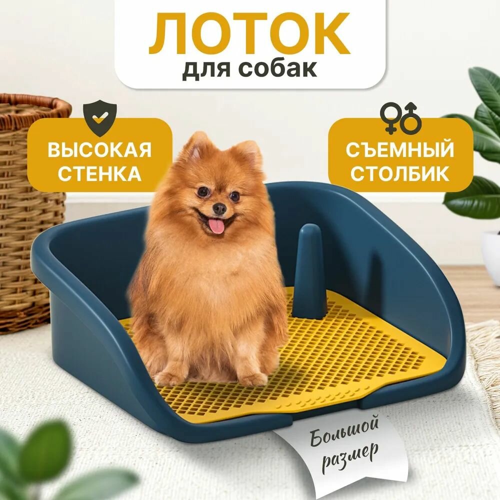Лоток для собак под пеленку со столбиком 52х42, серо-синий