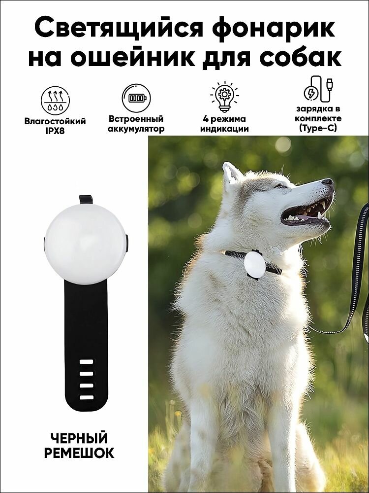 Фонарик на ошейник для собак / Светящийся брелок, маячок на ошейник