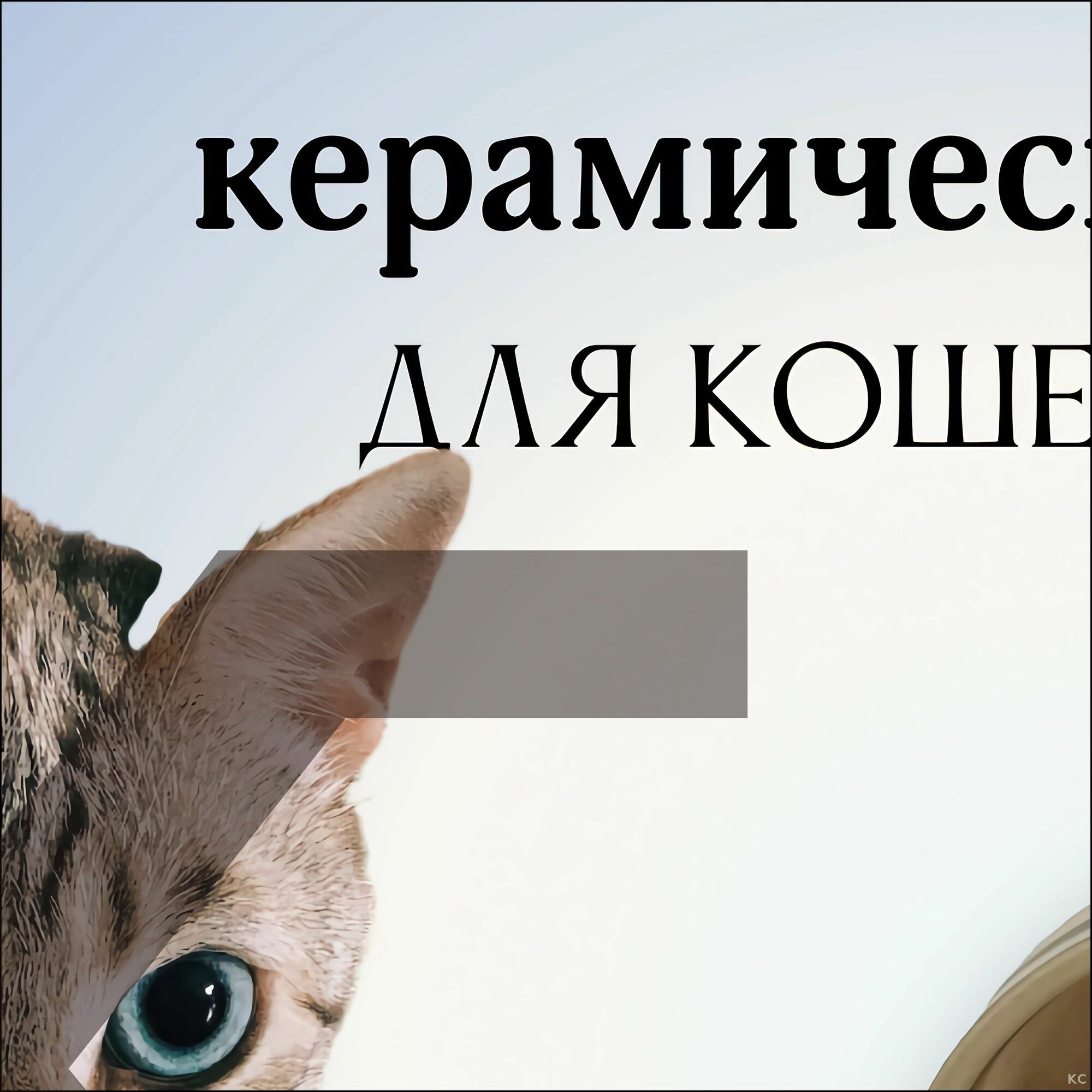 Миска для животных — фото 1