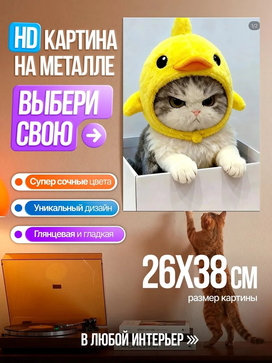 Картина на HD металле Кот в шапке утки