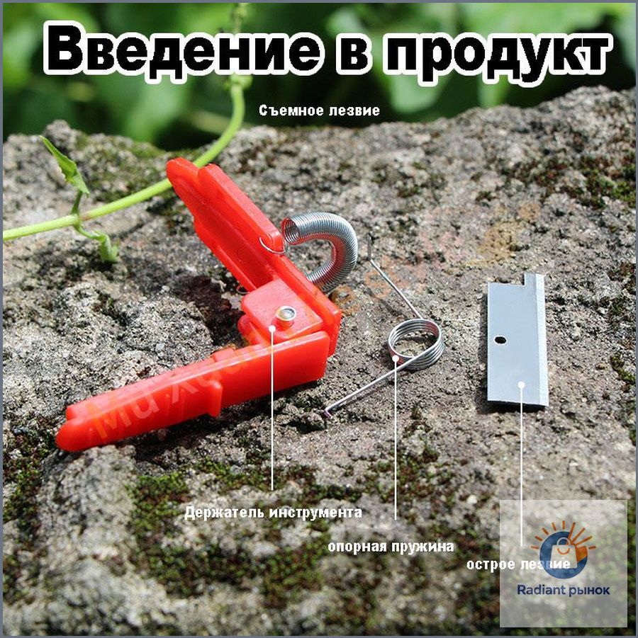 Плодосборник,5.3х1.5х1.8см — фото 1