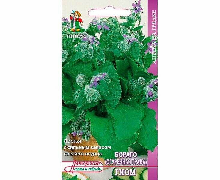 Семена Бораго (огуречная трава) Гном 0,5г (Поиск) Аптека на грядке