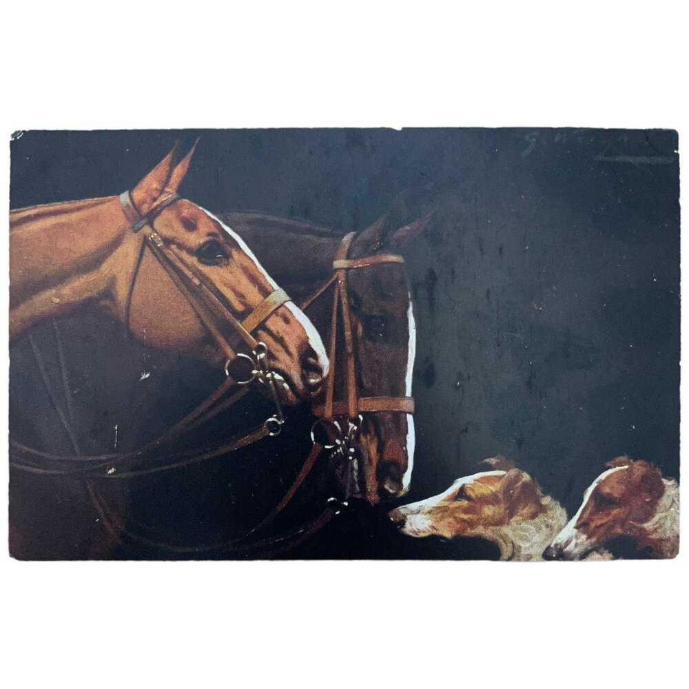 Почтовая открытка "Маркус Макс Мунк. Лошади и собаки" 1900-1917 гг. Европа