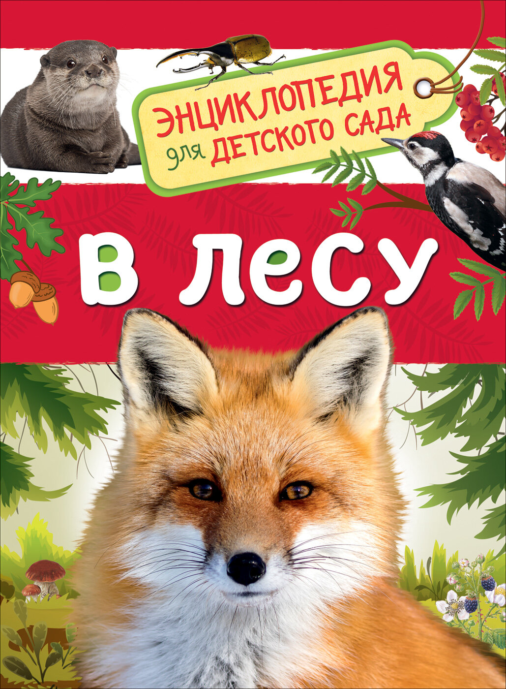 В лесу (Энциклопедия для детского сада) / Клюшник Л.