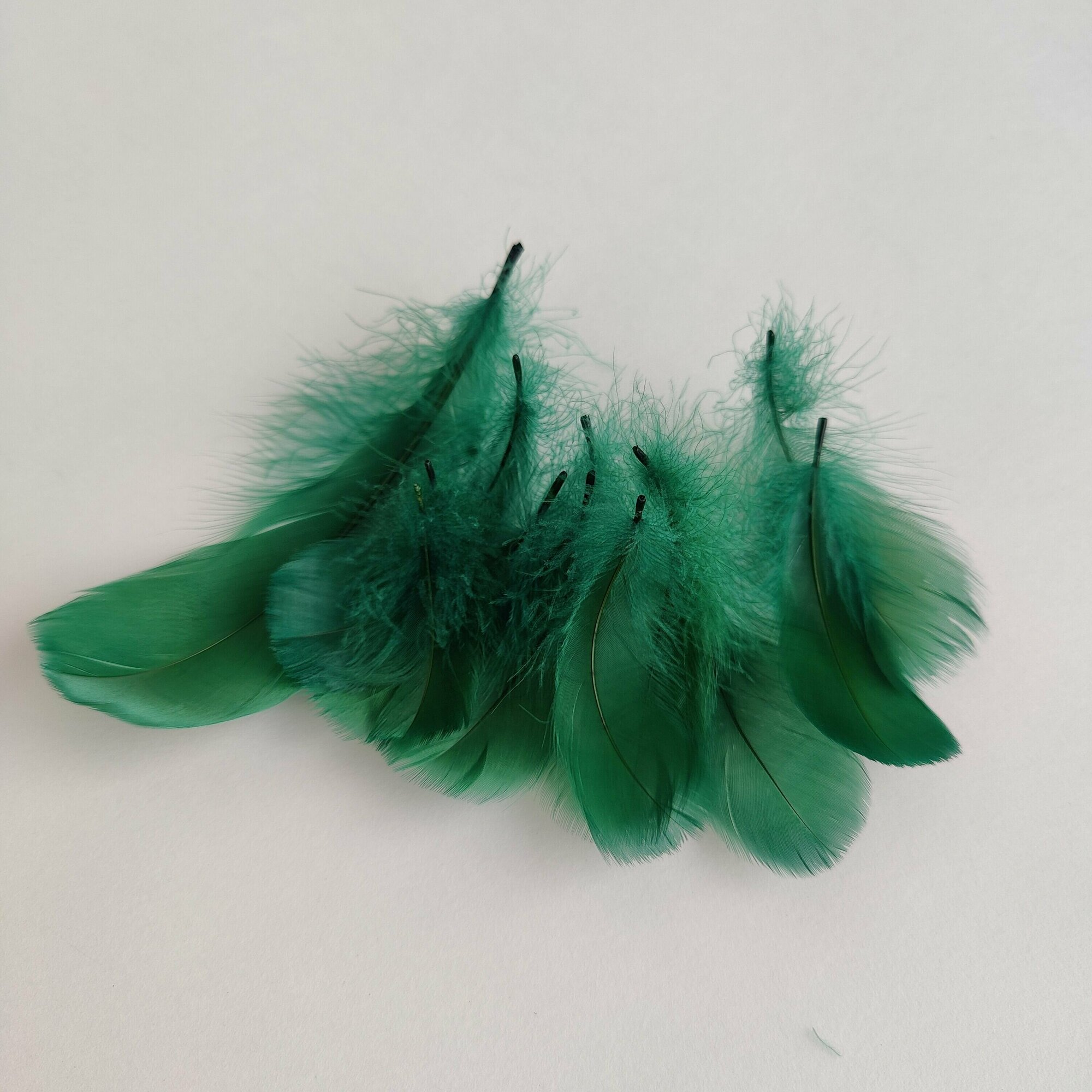 Перья декор изумрудные №19, 100 штук